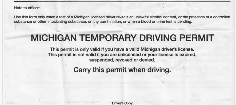 Michigan Photo ID Card with a Temporary Driver's License